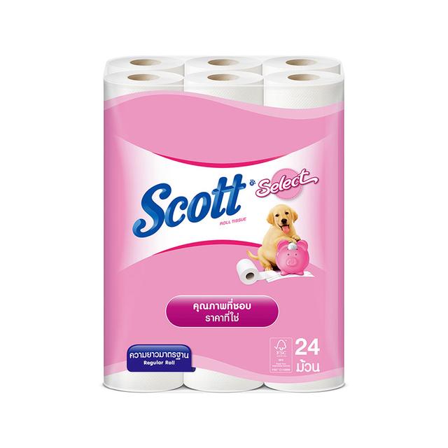 SCOTT Toilet Regular 24 Rolls | Makro PRO