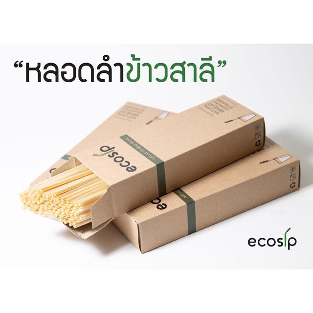 Ecosip หลอดลำข้าวสาลี หลอดจากธรรมชาติ Natural wheat straw ขนาด 20 ซม. ...