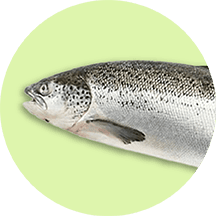 Fresh Products at makro | Makro PRO