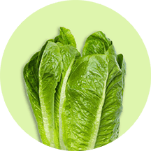 Fresh Products at makro | Makro PRO